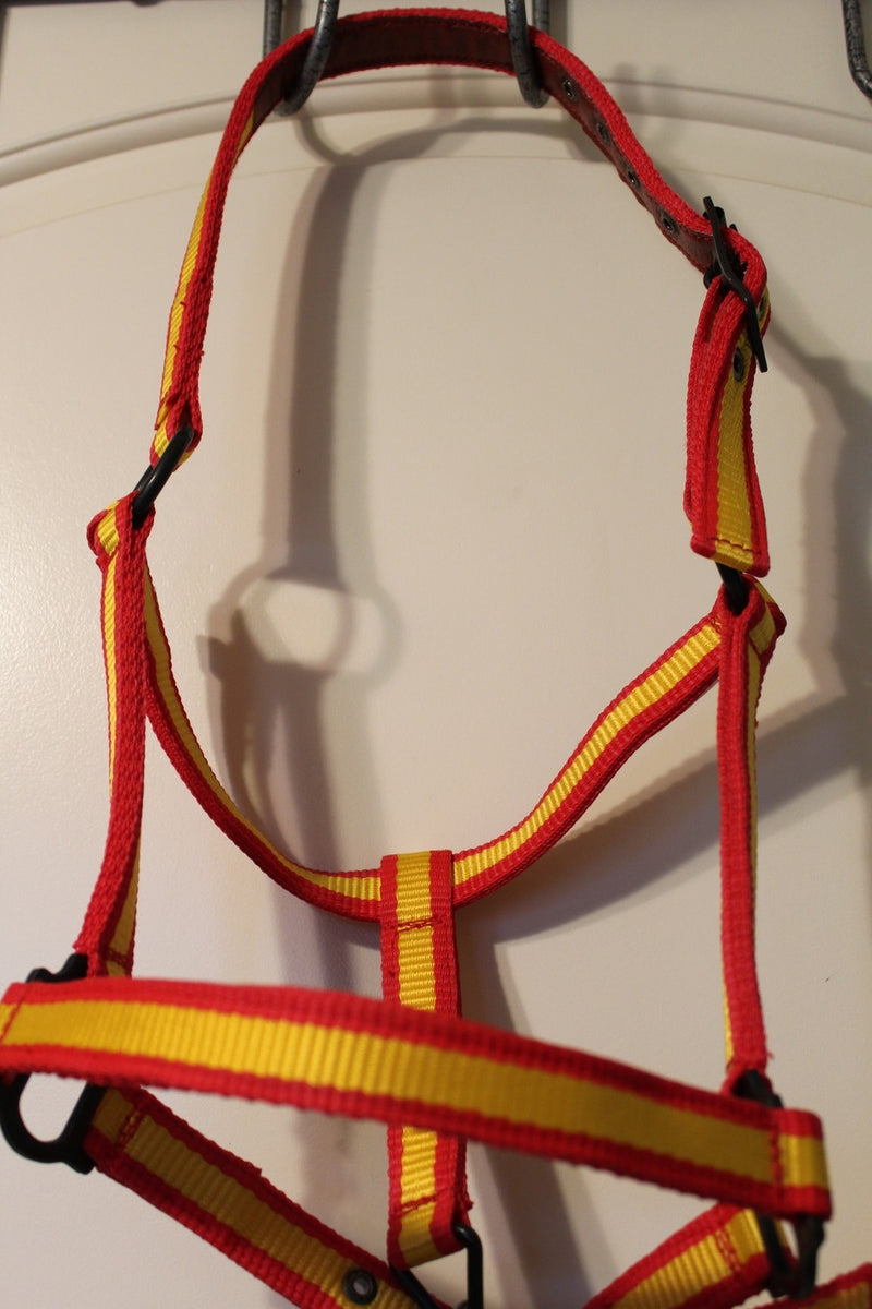 Nylon Halter Spanish colors – Iberian Connection